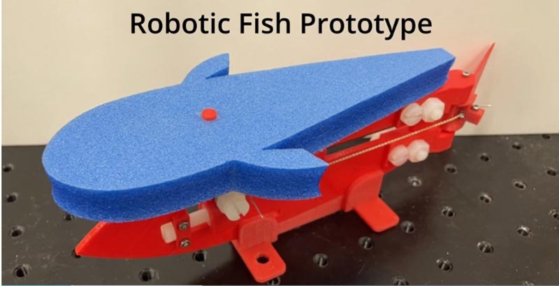Robot fish makes splash with motion breakthrough - Innovations Report Robot fish makes splash with motion breakthrough - Innovations Report